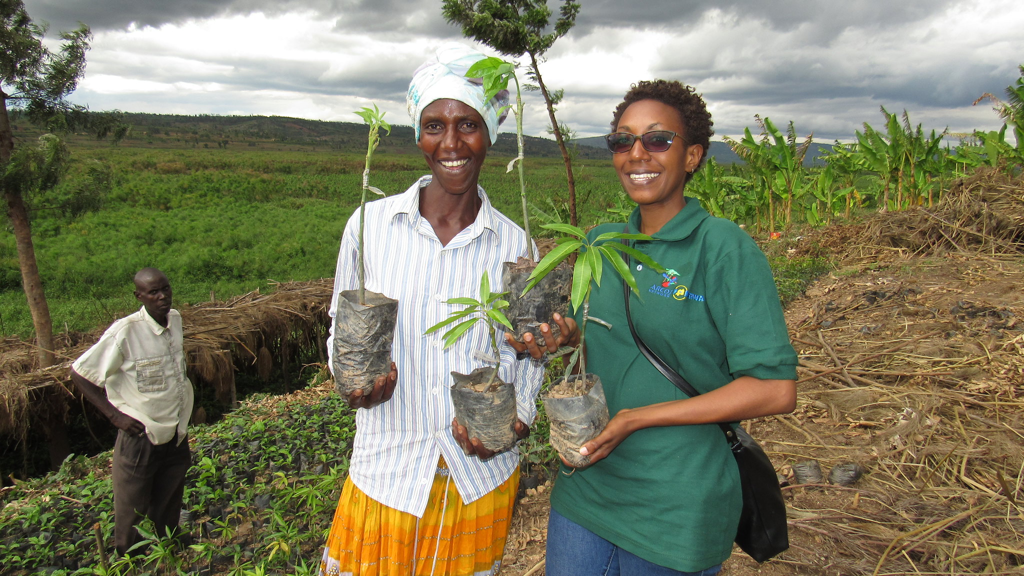 Our Work – ARCOS Network