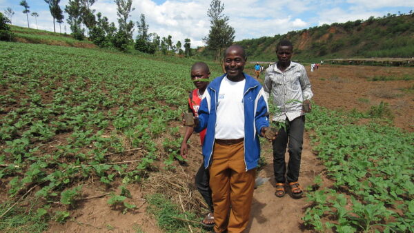 Tenders & Careers – ARCOS Network