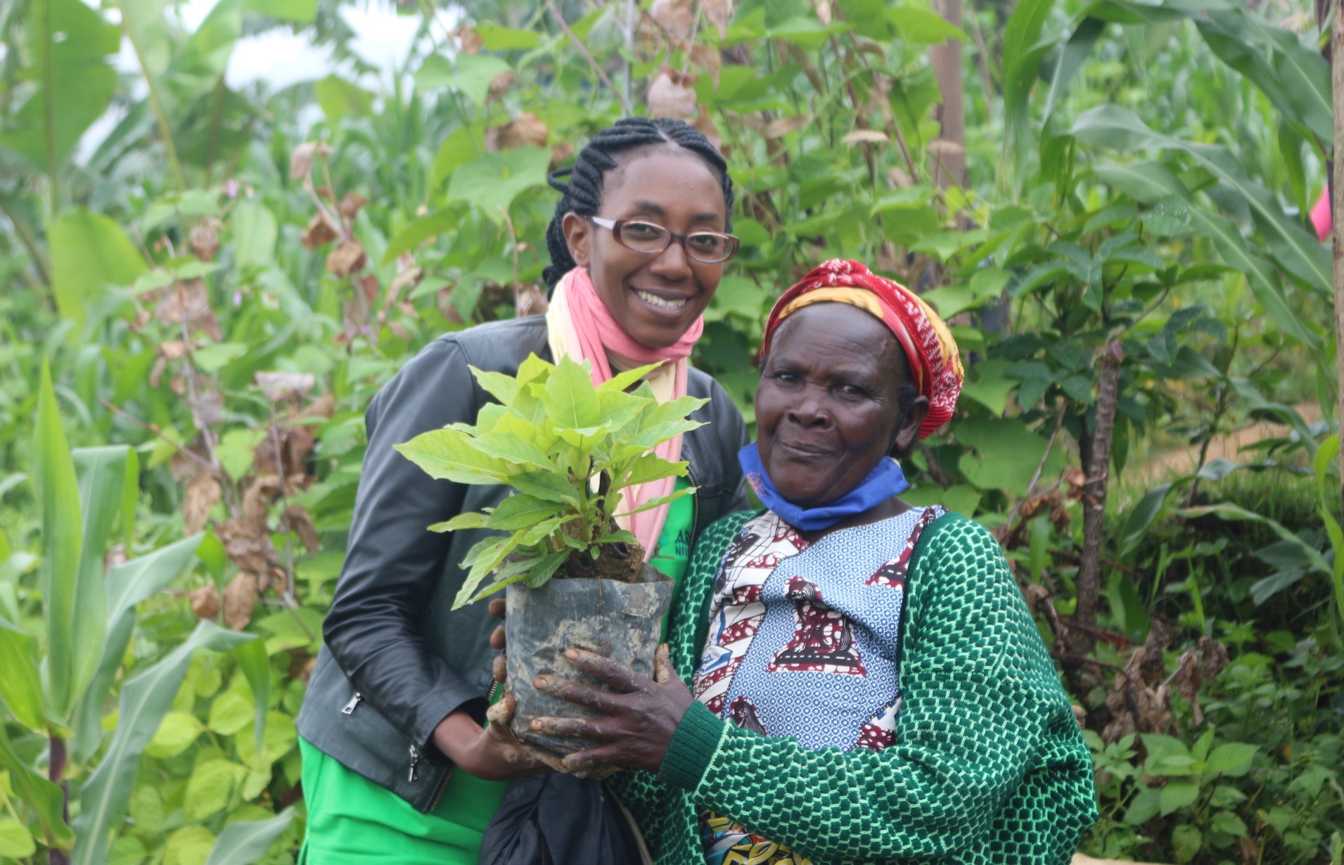 About – ARCOS Network