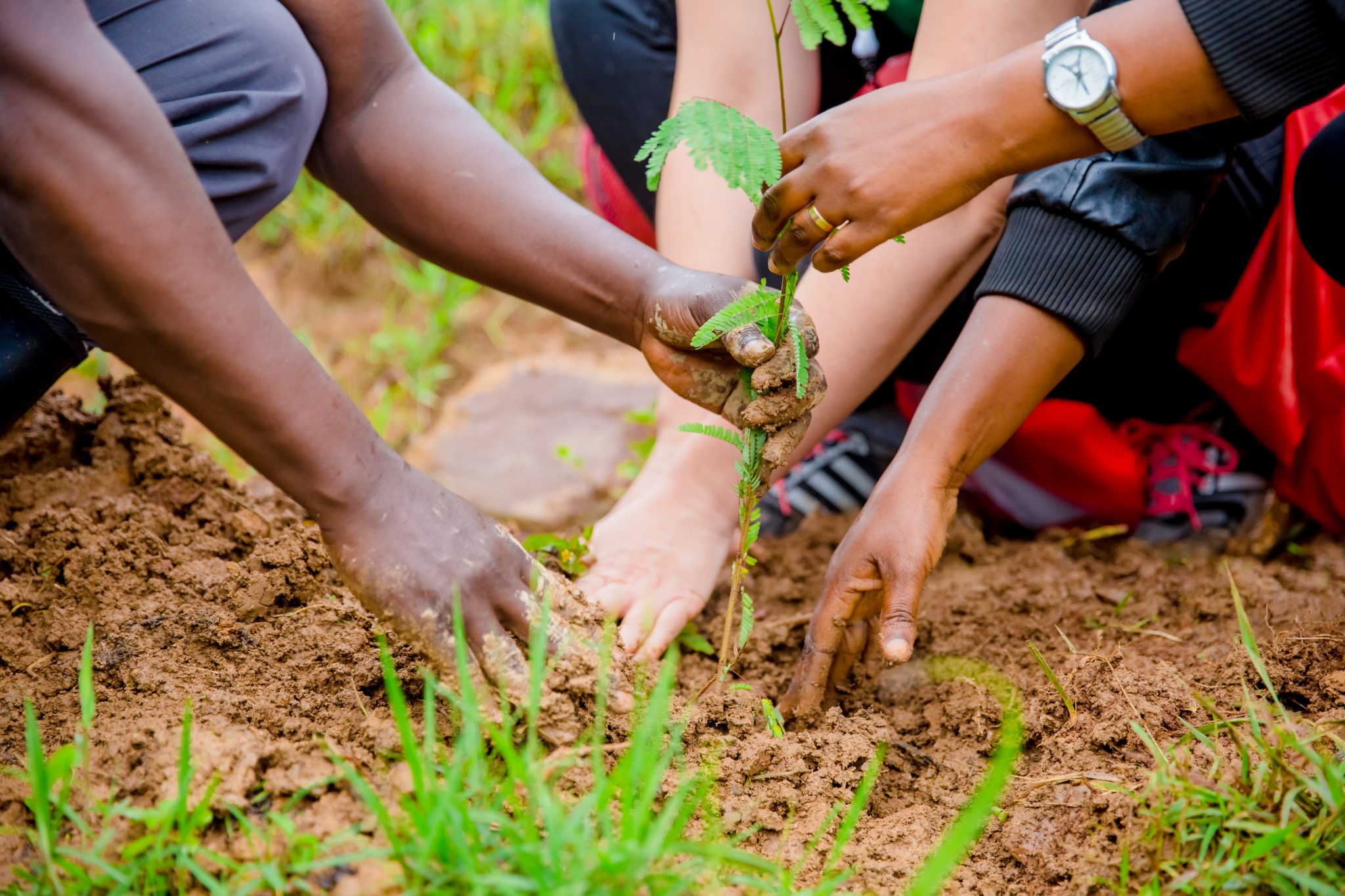 Our Work – ARCOS Network