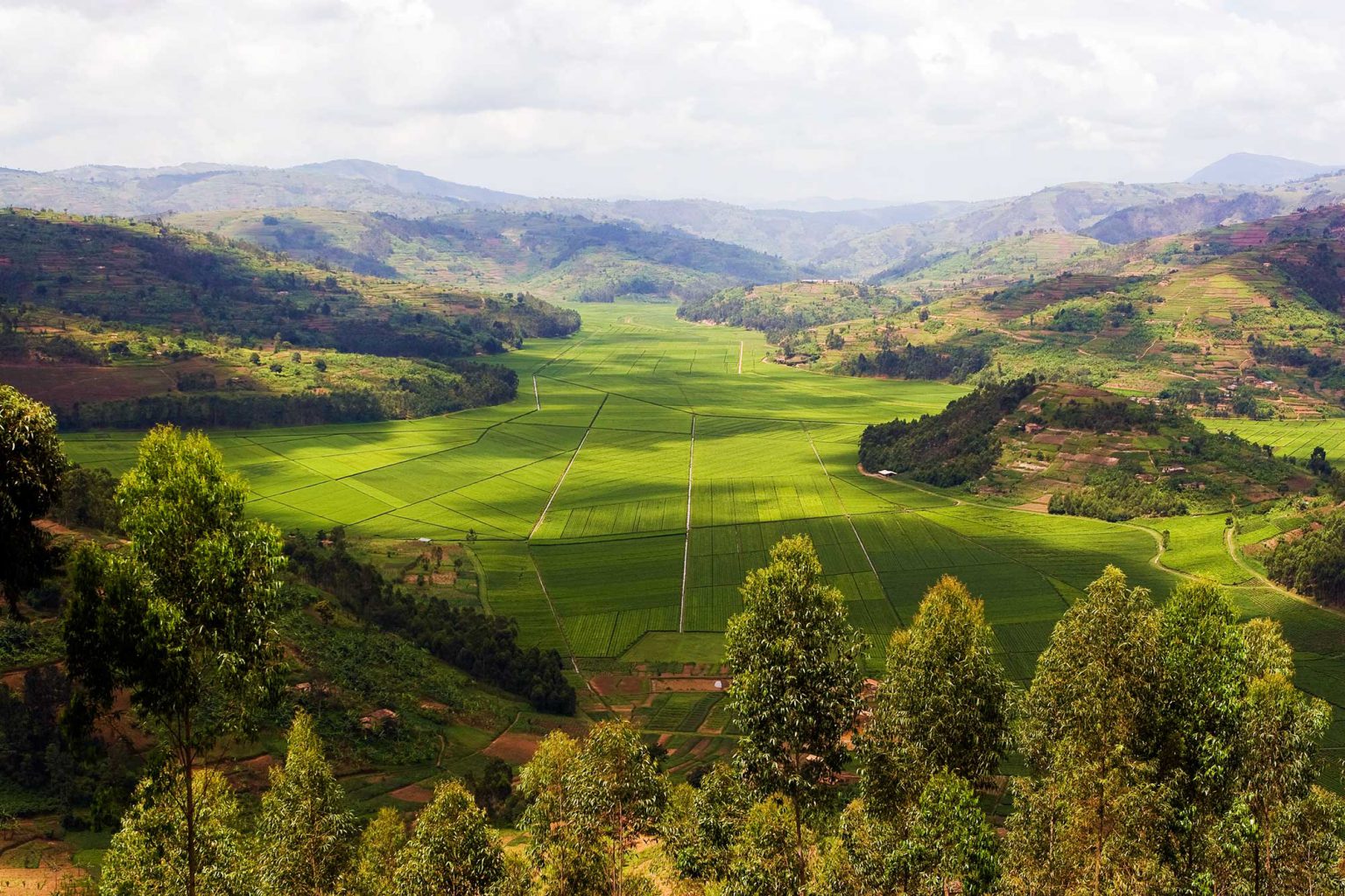 Our Work – ARCOS Network