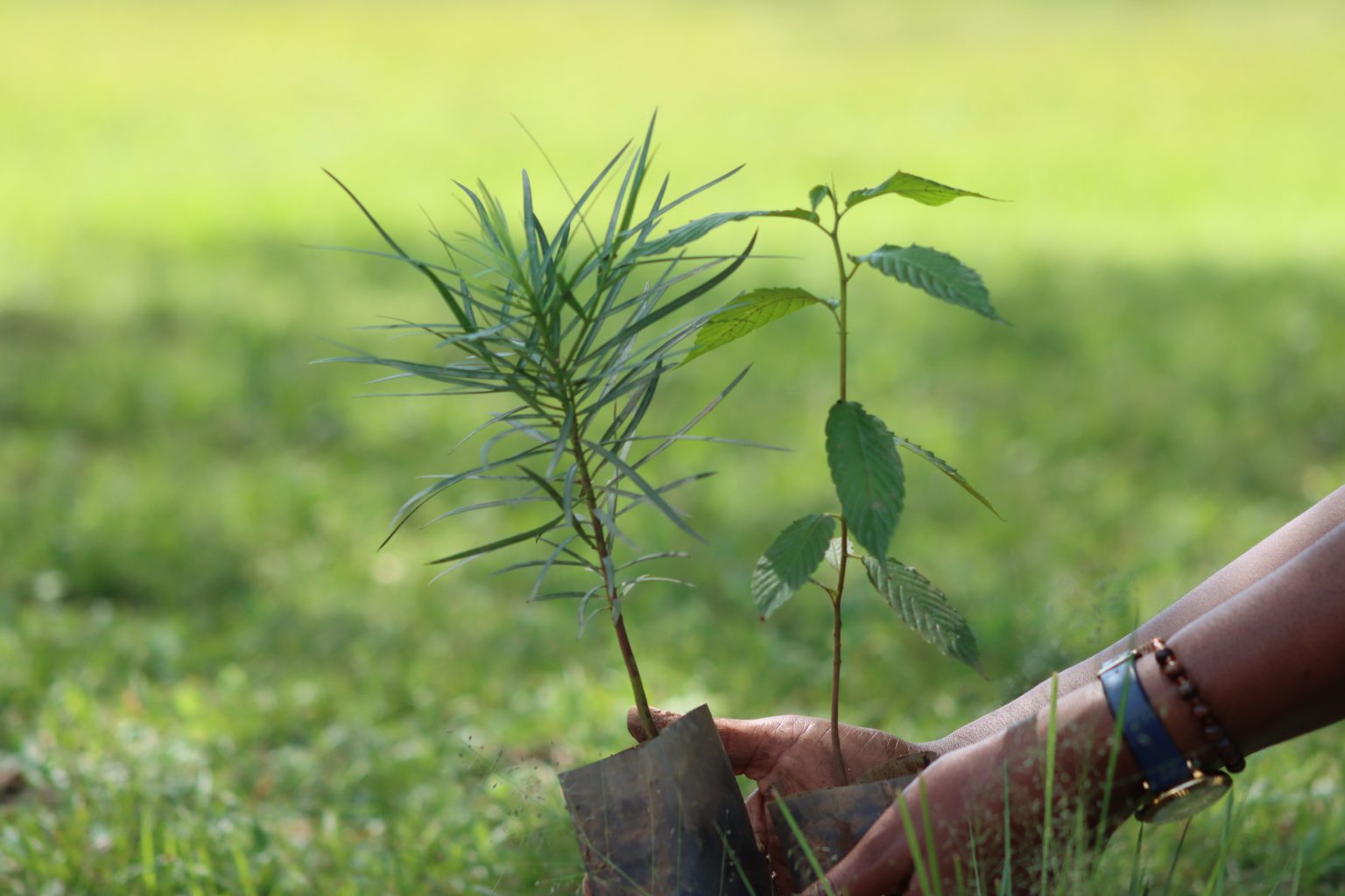 Our Work – ARCOS Network