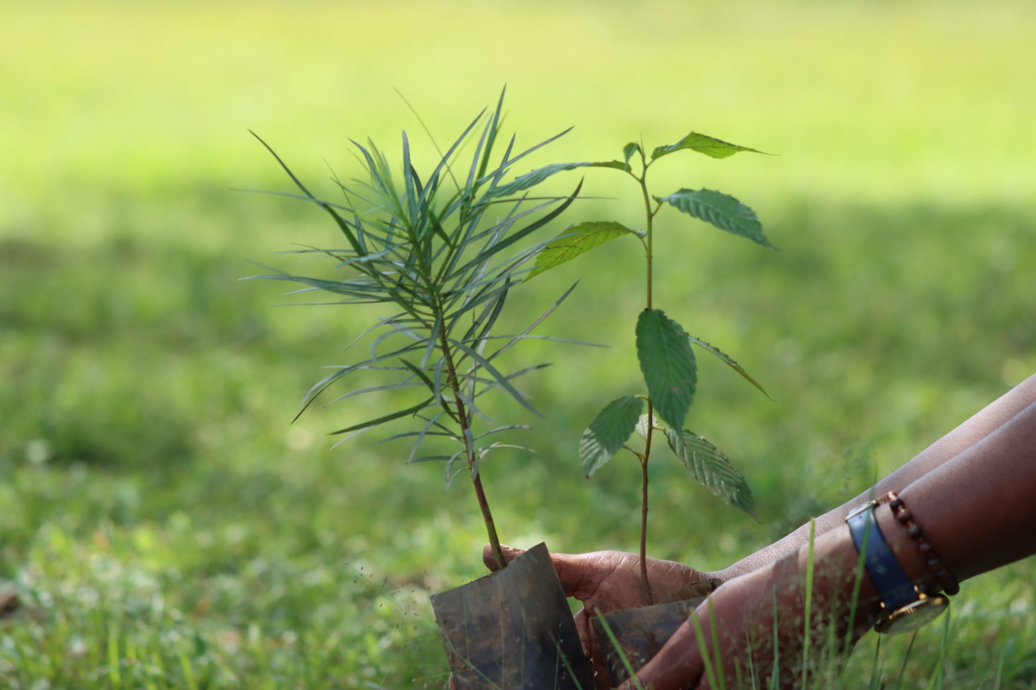 ARCOS Network – Fostering Collaborative Conservation Action for Nature ...