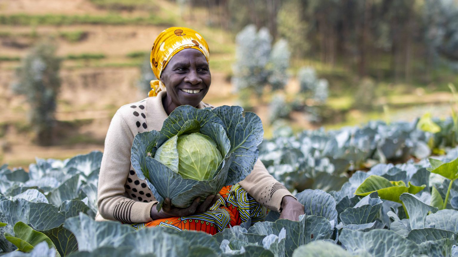 ARCOS Establishes Terraces to Fight Erosion and Improve Agriculture in ...